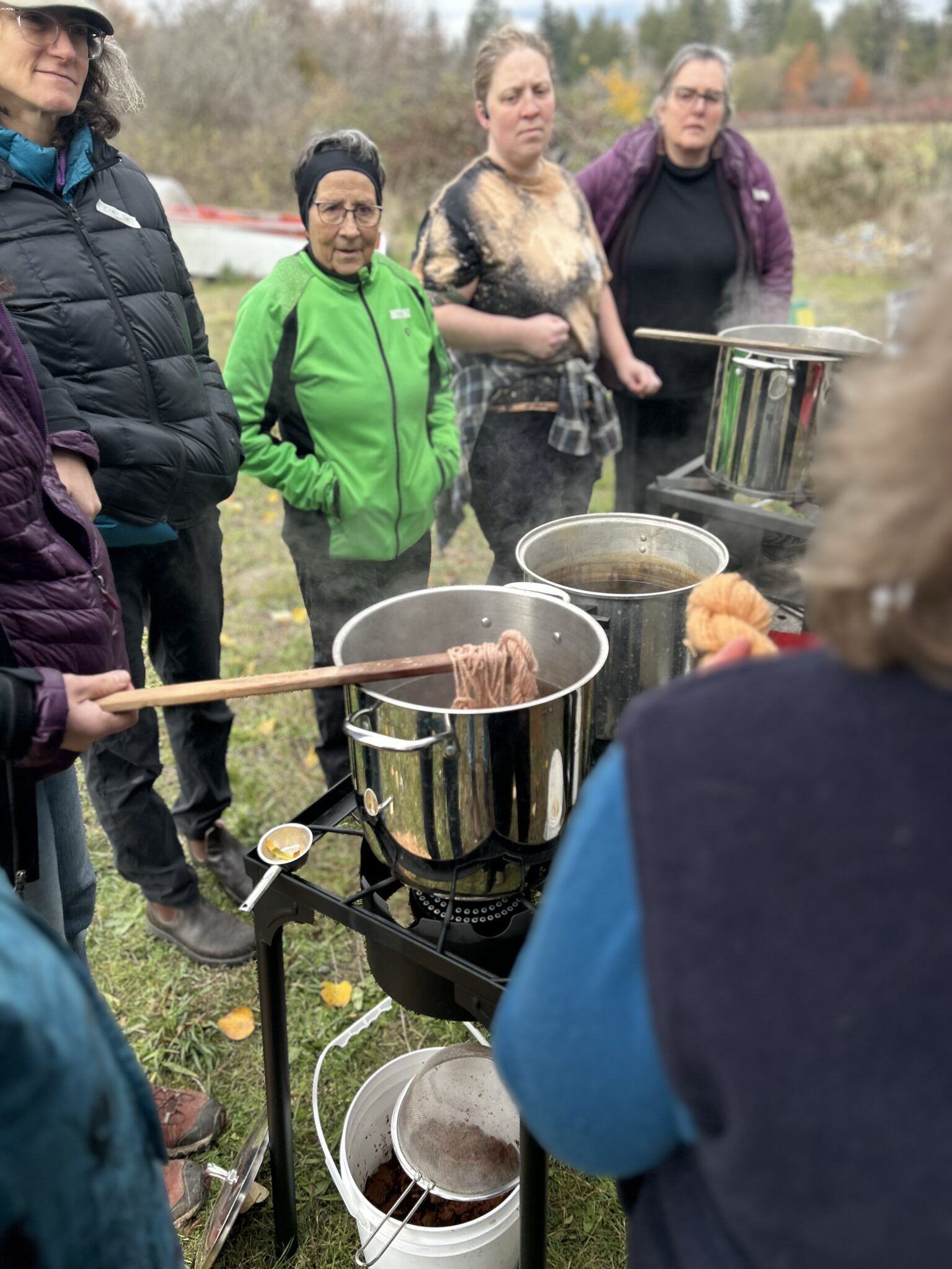 Workshop Report: Mushroom Foraging and Dyeing with the Alberni Valley ...